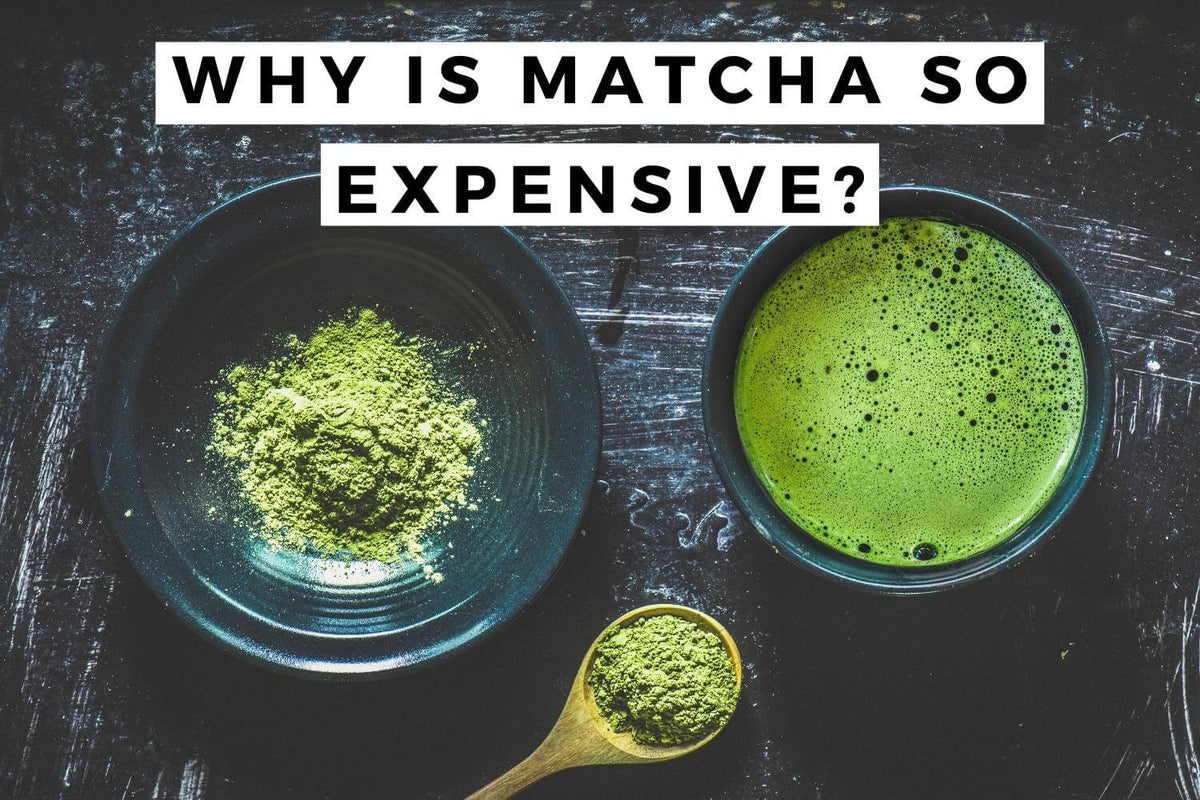 Why Is Matcha So Expensive? | Moontower Matcha Learn blog