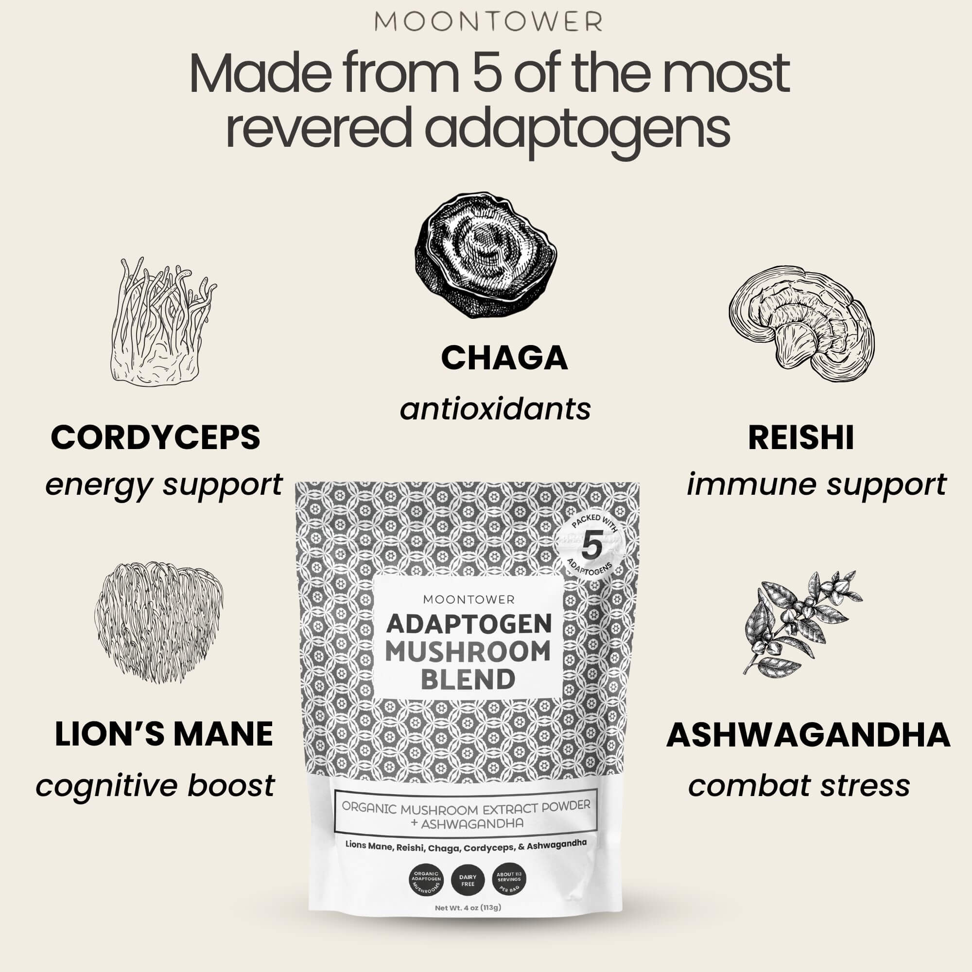 Adaptogenic Mushrooms Blend Powder – Moontower